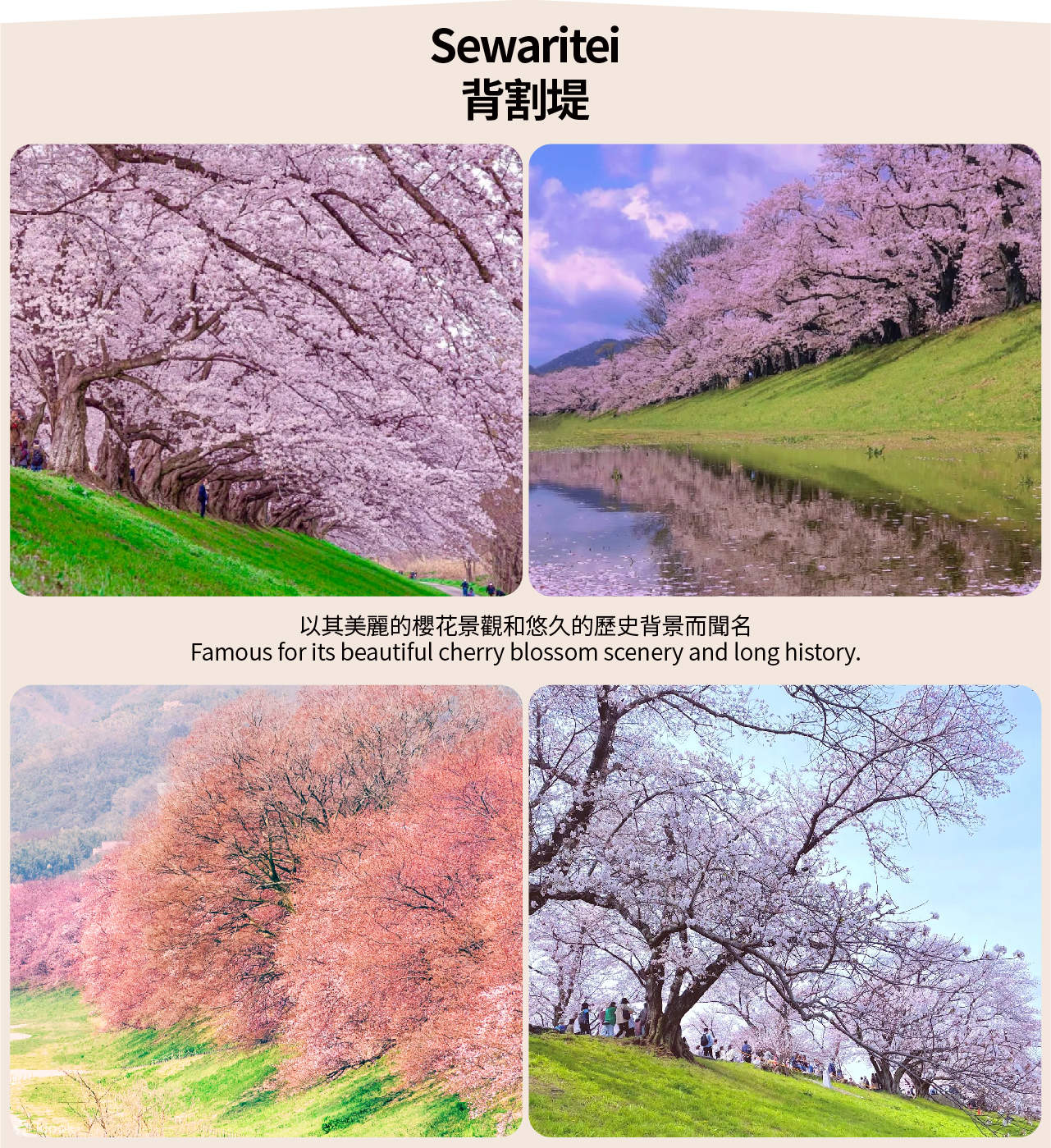 [Kyoto-only during Cherry Blossom Season] Fushimi Inari Taisha Shrine or Fushimi Juishi Boat ...